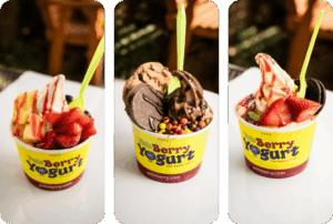 YoloBerry Yogurt